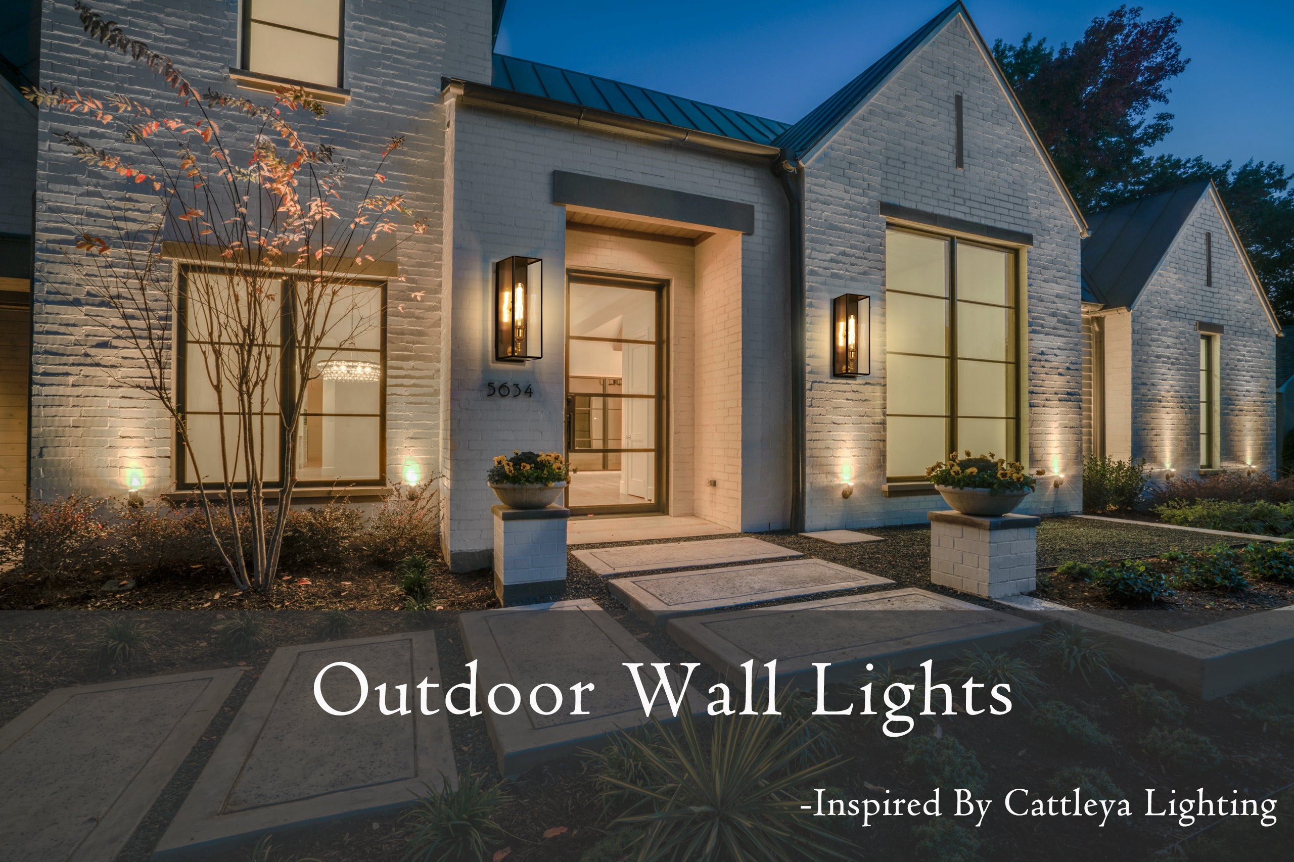 Cattleya lighting — cattleyalighting